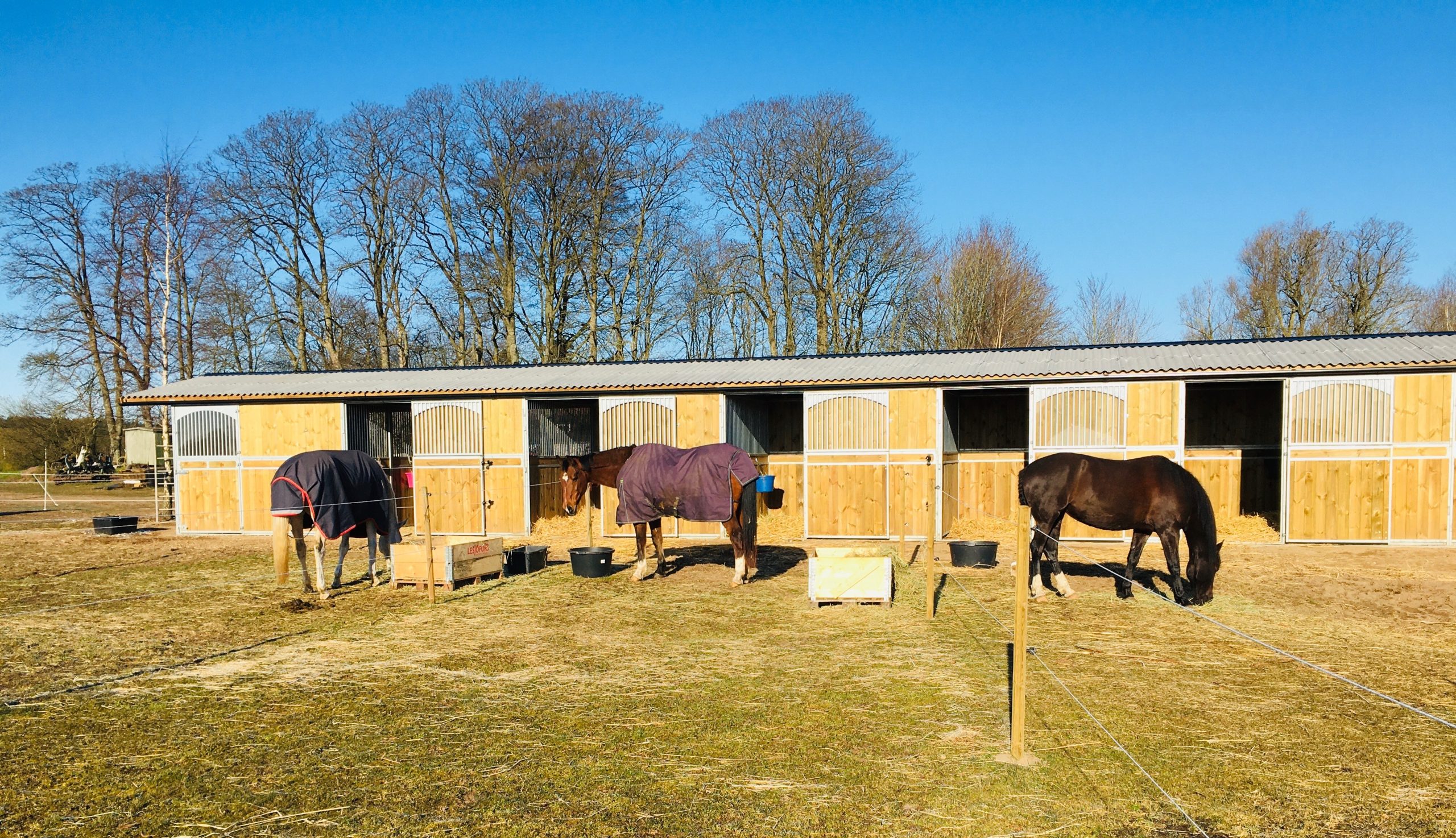 Stall - Provision-ISR-Sverige